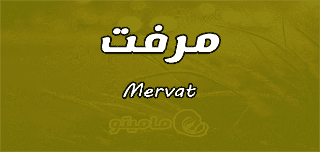 معنى اسم ميرفت ماميتو