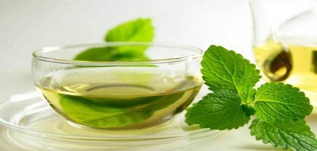 تجربتي مع الشاي الأخضر الصيني - ماميتو